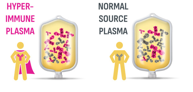 About ASCENIV (immune globulin intravenous, human)